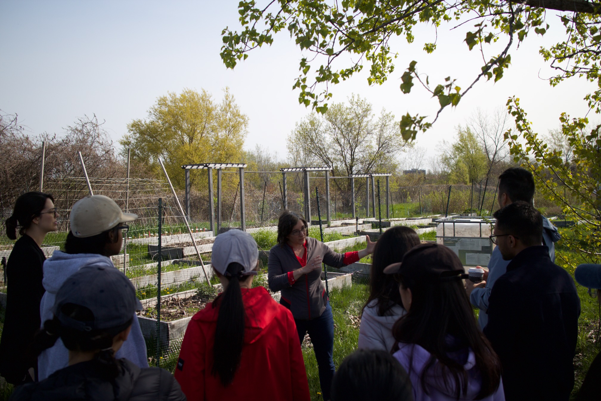 University of Toronto Scarborough Farm – DesignLIFES