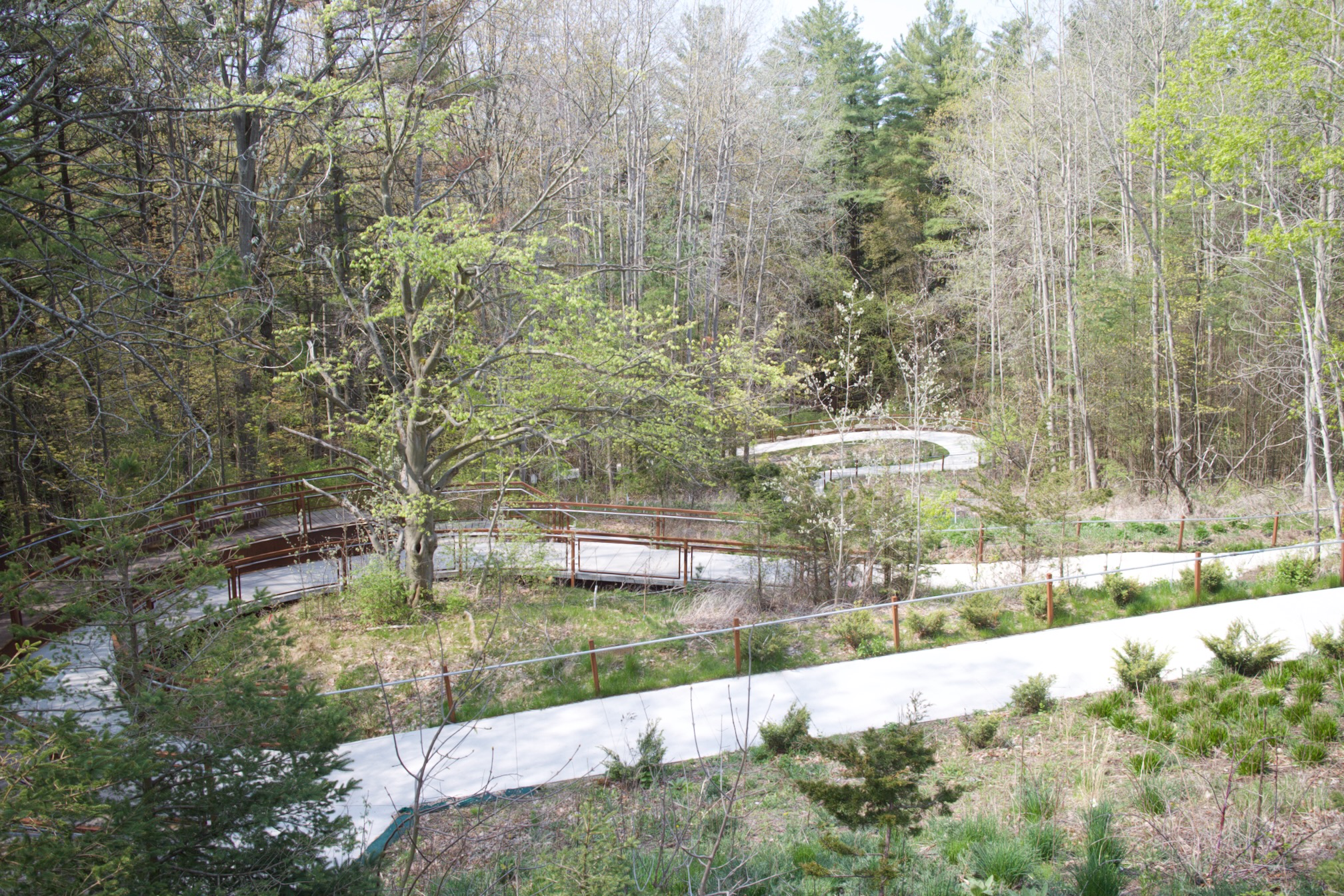 University of Toronto Scarborough Campus Valley Land Trail – DesignLIFES