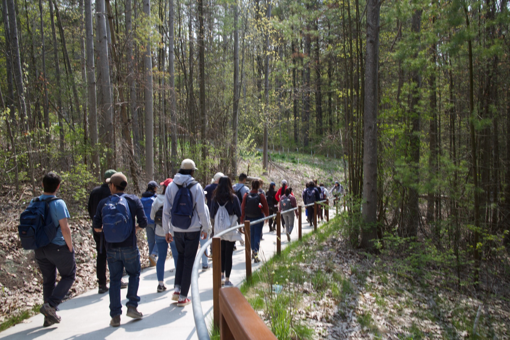 University of Toronto Scarborough Campus Valley Land Trail – DesignLIFES